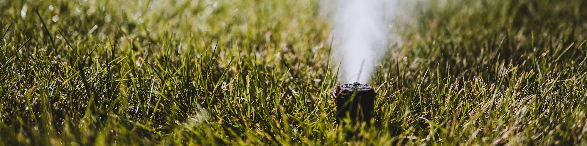 Quality Irrigation | Fall Winterization